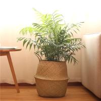 China Low Price Foldable Natural Rattan Plant Hand Woven Seagrass Storage Belly Baskets Straw Woven Wicker Storage Basket for Plants for sale