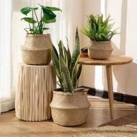 China Wholesale Seagrass Baskets Factory Best Selling Products Seagrass Belly Basket in High Quality for sale