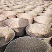 China Wholesale Seagrass Baskets Factory Best Selling Products Seagrass Belly Basket in High Quality for sale