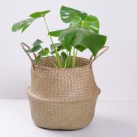 China Wholesale Seagrass Baskets Factory Best Selling Products Seagrass Belly Basket in High Quality for sale