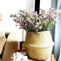 China Factory Home Handmade Woven Wicker Seagrass Belly Plant Baskets for sale