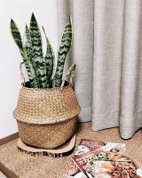 China Factory Home Handmade Woven Wicker Seagrass Belly Plant Baskets for sale