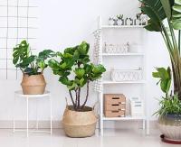 China Foldable Storage Basket Seaweed Flower Basket Hot Sale Manufacturers Wholesale Hand-woven Folding Customized Hand Woven/handmade for sale