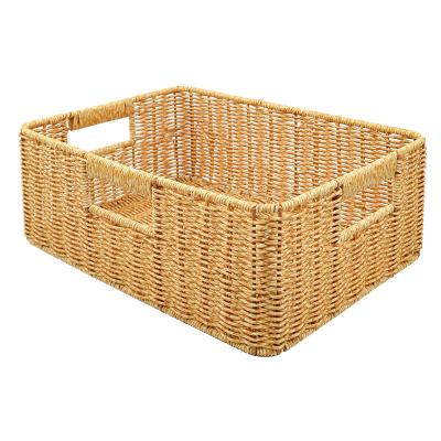 China PE Handmade Woven Storage Baskets Durable Woven Home Decor And Storage Items Ideal For Organizing Living Spaces And Offices for sale