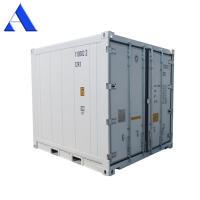 China Minus 30- 30C Inside Temperature 10ft Thermo King Refrigerator for Cold Room Reefer Container and Storage for sale
