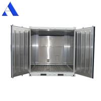 China Minus 30- 30C Inside Temperature 10ft Thermo King Refrigerator for Cold Room Reefer Container and Storage for sale