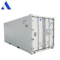 China 20ft Corten-A Refrigerator Reefer Container in Dubai Ideal for Freezer Fish and Meat Transport for sale