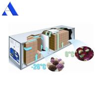 China Dual Temperature 2-Room ISO 20ft Marine Refrigerated Container ISO Certified Aluminium Deep Freezers with Corten Steel for sale