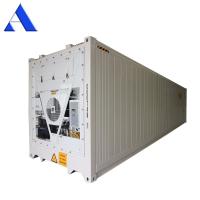 China 40ft Reefer Deep Blast Feezer Containers Polyurethane Insulated Thermo King Refrigerator for 60 Degree Fresh Tuna Storage for sale