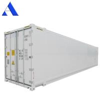 China 45ft Thermo King Refrigerator Freezer Cold Room Container with and Internal Dimensions 13114 x 2274 x 2554 mm for sale
