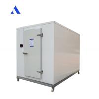 China 2.8x2x2.2m Mini Portable Cold Storage Room with Aluminum T-Bar Floor and MGSS Outside Wall for sale