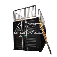 China 40ft Shipping Container Swimming Pool Outdoor with Durable Corten-A Structure and Plywood Floor for sale
