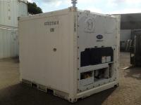 China 10FT 10 Feet 3 Meter Cold Storage Refrigerated Reefer Container with Sling Door Opening Size 2.290 x 2.206 m Third Hand for sale