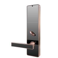 China Electronic Hotel Smart Locks Aluminium Alloy RFID Card Smartphone TT Lock Access for sale