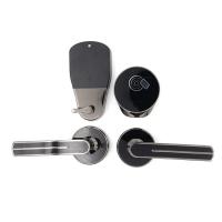 China Intelligent Zinc Alloy Hotel Smart Locks Half Automatic Anti Theft Room Lock for sale