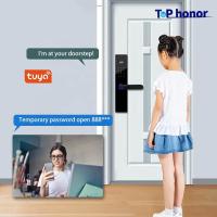 China Tuya App Front Door Smart Lock With Handle Fingerprint IC Card Password Access for sale