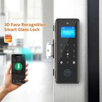 China Tuya Smart Fingerprint Door Lock 3D Face Passcode IC Card Glass Door Biometric Lock for sale