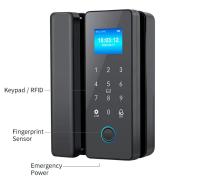 China Glass Door Smart Fingerprint Door Lock Biometric Unlock Full Automatic Tuya Lock for sale