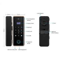 China Office Tuya App Door Lock Wireless Biometric High Security Password Glass Door Lock for sale