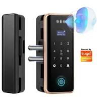 China Digital Automatic Face Recognition Door Lock Tuya Fingerprint Password IC Card Access for sale