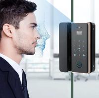 China Digital Automatic Face Recognition Door Lock Tuya Fingerprint Password IC Card Access for sale