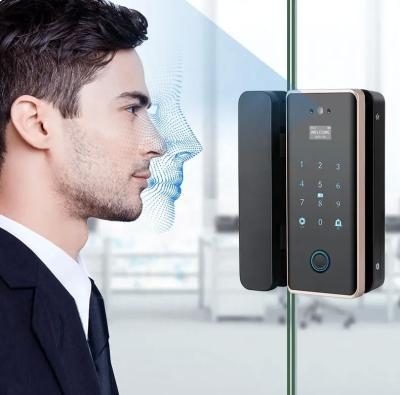 China Office Tuya App Door Lock Wireless Biometric High Security Password Glass Door Lock for sale