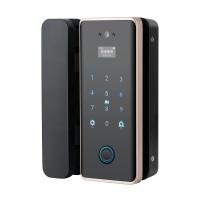 China 3D Face Digital Smart Glass Door Lock Tuya Fingerprint Password IC Card Access for sale