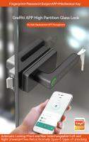 China Office Tuya Wireless Control Smart Glass Door Lock Fingerprint IC Card Access for sale