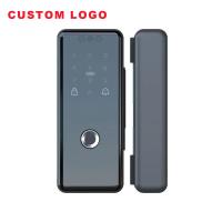 China Tuya Remote Control Face Recognition Door Lock Face Identify Office Glass Door Lock for sale