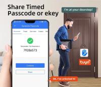 China TH-103D Face recognitional Door Lock for sale