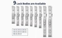 China Digital Facial Recognition Automatic Front Door Lock Anti Peep Password Smart Lock for sale