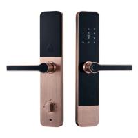 China Digital Password Apartment Smart Door Lock TTLock Fingerprint IC Card Access for sale