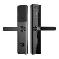 China Facial Recognition Smart Handle Door Lock Digital Code Card NFC Biometric Access for sale