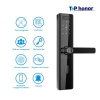 China Facial Recognition Smart Handle Door Lock Digital Code Card NFC Biometric Access for sale