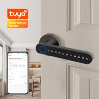 China Digital Smart Code Door Lock Password Fingerprint Unlock Biometric Interior Door Lock for sale