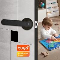 China Fingerprint Password Key Smart Tuya App Door Lock Smartphone Bluetooth Access for sale
