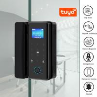 China Full Auto Tuya Wireless Remote Control Door Lock Biometric Password Card Unlock for sale