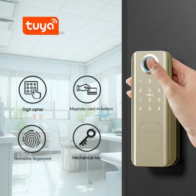 China Fingerprint Password Deadbolt Smart Door Lock TTLock Card NFC Ekey For Apartment for sale