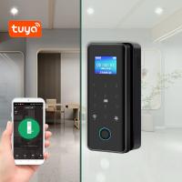 China Office Digital Smart Glass Door Lock TFT Screen Biometric Password IC Card Access for sale