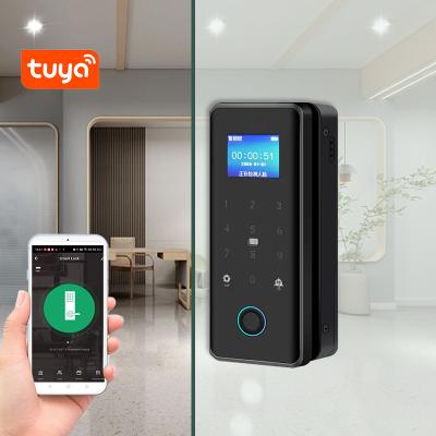 China Office Digital Smart Glass Door Lock TFT Screen Biometric Password IC Card Access for sale