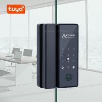 China Digital Smart Glass Door Lock TTLock Fingerprint Electronic Password IC Card Access for sale