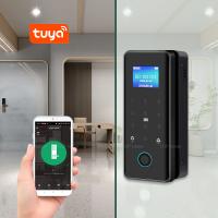 China Glass Door Smart Fingerprint Door Lock Biometric Unlock Full Automatic Tuya Lock for sale