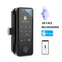 China Dc 12v / 24v Power Supply Smart Glass Door Lock For Iron Door Types for sale