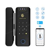China Dc 12v / 24v Power Supply Smart Glass Door Lock For Iron Door Types for sale