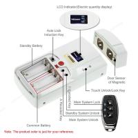China Fingerprint Password Invisible Door Lock With Remote Control Dual System for sale