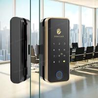 China Smart Glass Door Lock DC 12V/24V Power Supply 1 Built In Doorbell for sale