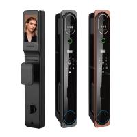 China Convenient 4200 Lithium Battery Face Recognition Door Lock with 2pcs Mechanical Keys for sale