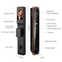 China Convenient 4200 Lithium Battery Face Recognition Door Lock with 2pcs Mechanical Keys for sale