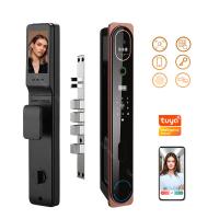 China Convenient 4200 Lithium Battery Face Recognition Door Lock with 2pcs Mechanical Keys for sale