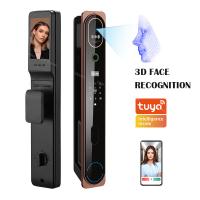 China Convenient 4200 Lithium Battery Face Recognition Door Lock with 2pcs Mechanical Keys for sale